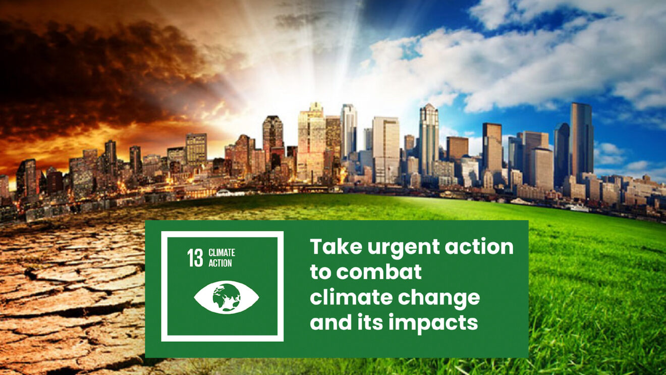 SDGs Info Centre | AfricaConnect3